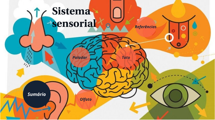 Sistema Sensorial Salud Vida Peru 4962
